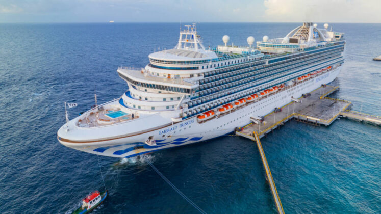 Princess Cruise Ships By Size: Largest to Smallest