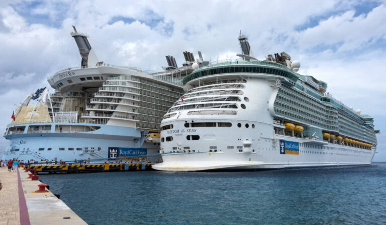 What Are the Different Oasis-Class Cruise Ships?