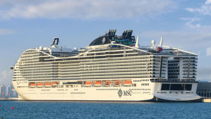 What is the Average Capacity of a Cruise Ship?