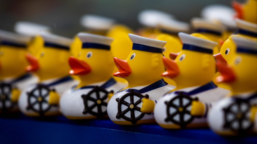 Cruise Ducks: Everything You Ever Wanted to Know!