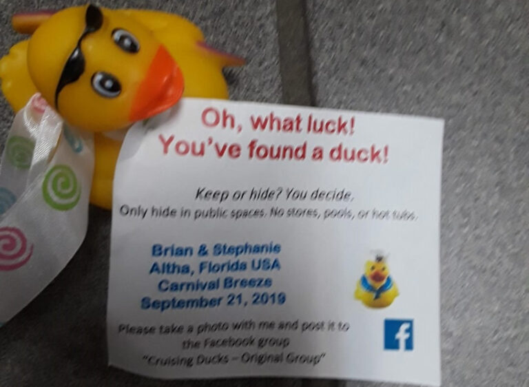Cruise Ducks: Everything You Ever Wanted to Know!