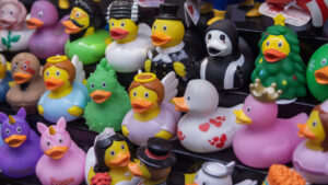 Cruise Ducks: Everything You Ever Wanted to Know!