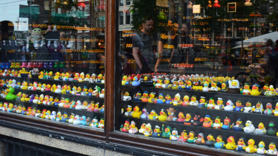 Cruise Ducks: Everything You Ever Wanted to Know!