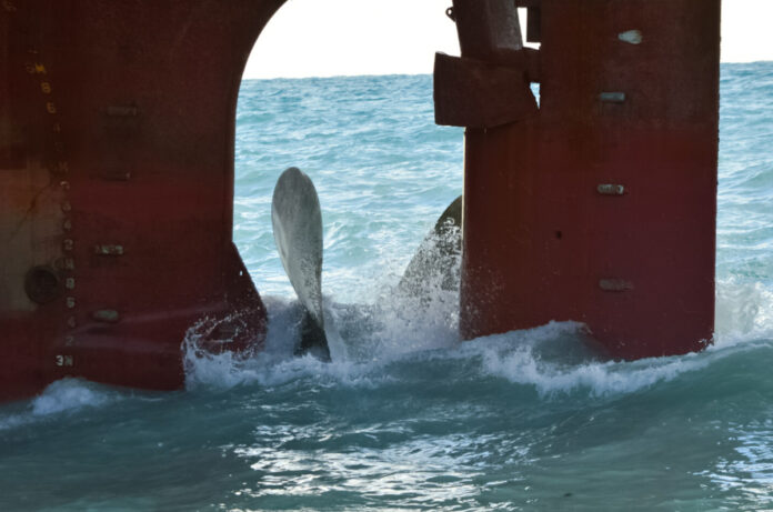 How the Ship’s Rudder Works – The Basics