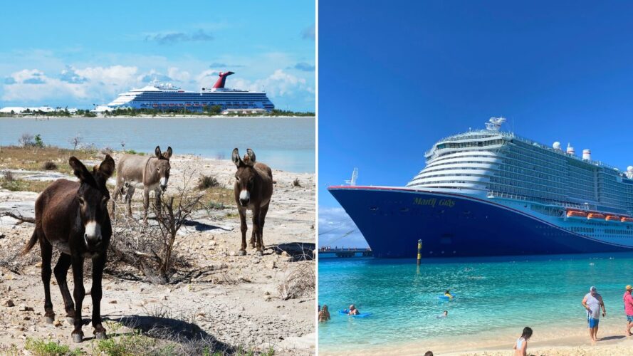 Passenger Sues Cruise Line After Unexpected Donkey Injury