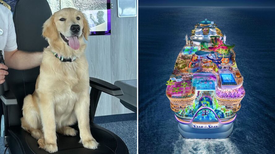 Second Icon-Class Ship Will Have a Furry Family Member