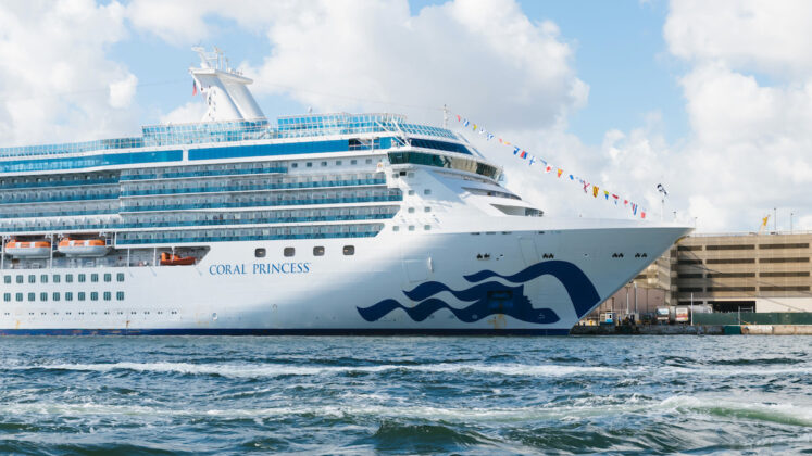 Princess Cruises Reveals 114-Day World Cruise for 2026