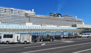 Miami Cruise Port Guide: Terminals, Transportation and More