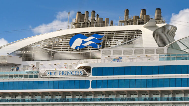 Who Owns Princess Cruises? Behind the Company