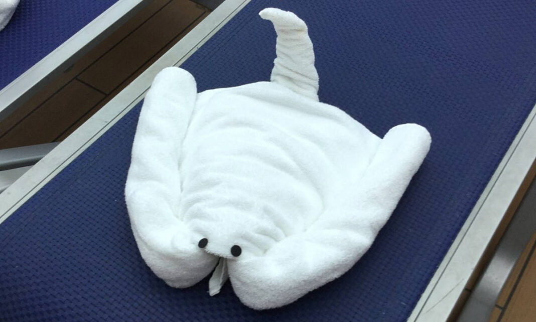 Carnival Explains Why There Were No Towel Animals