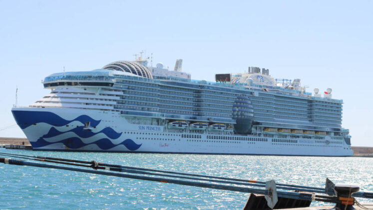 Who Owns Princess Cruises? Behind the Company