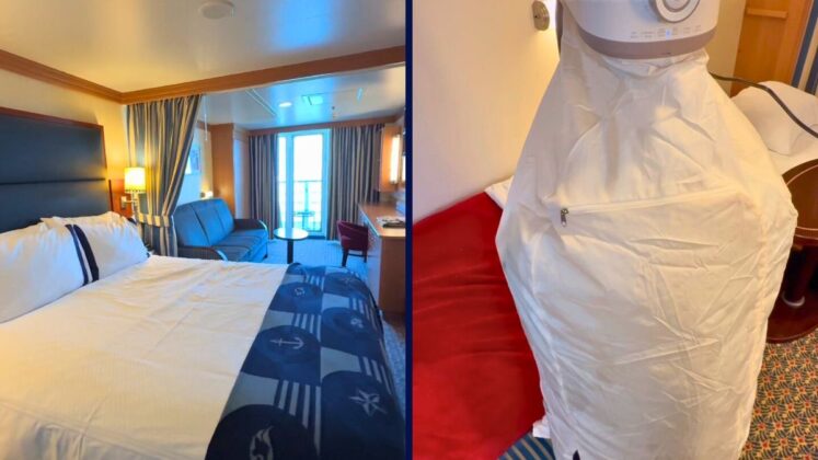 Cleaning or Overconsuming? Passenger's Cruise Cabin Routine Draws Criticism