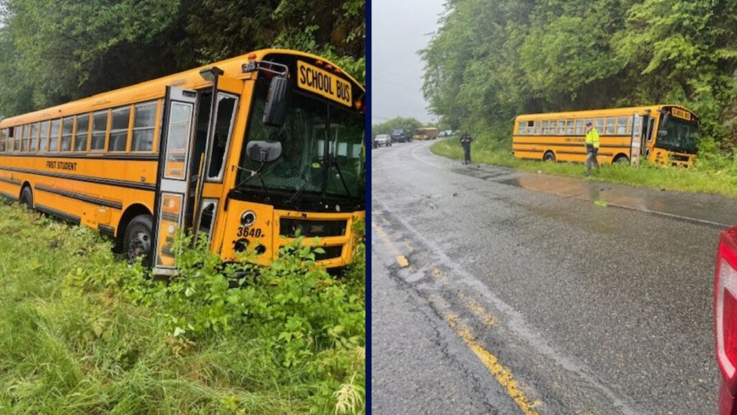 School Bus Carrying Cruise Guests Collides With SUV in Alaska