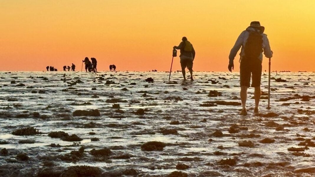 Cruise Ship Guests Stranded by Rapid Tide on Remote Island