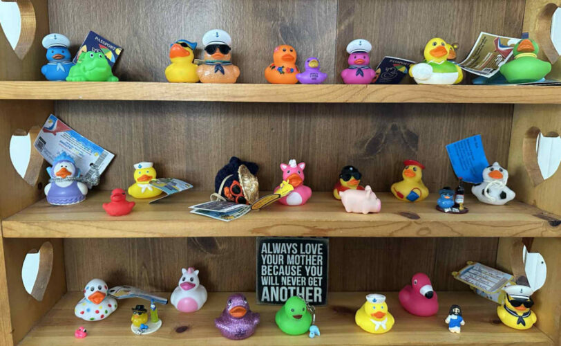 Cruising Ducks Used to Be Simple — Now It’s All Clues, Apps, and ...