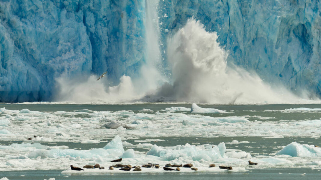 Holland America Scraps All Tracy Arm Visits Due to Unstable Conditions