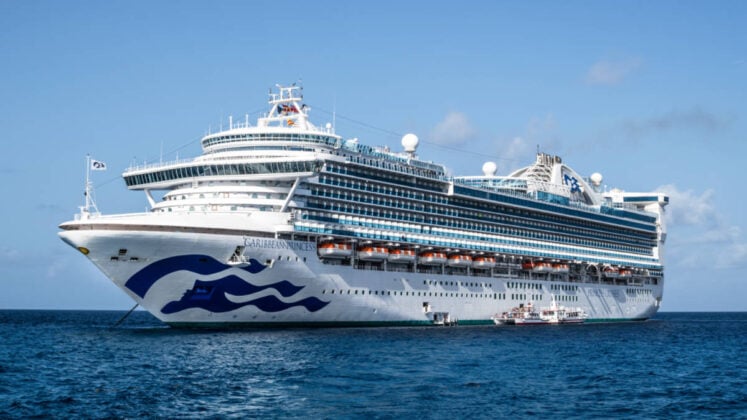 Caribbean Princess Cruise Ship Suddenly Loses Power While at Sea